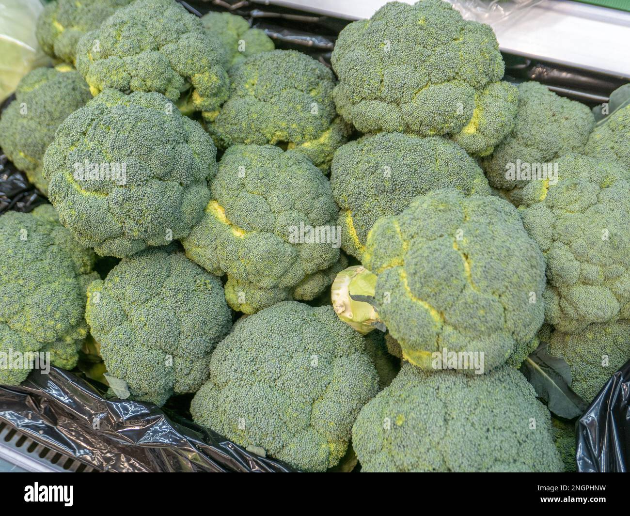 Seoul, Korea - FEB. 18, 2023 : Fresh broccoli on display and sale in ...