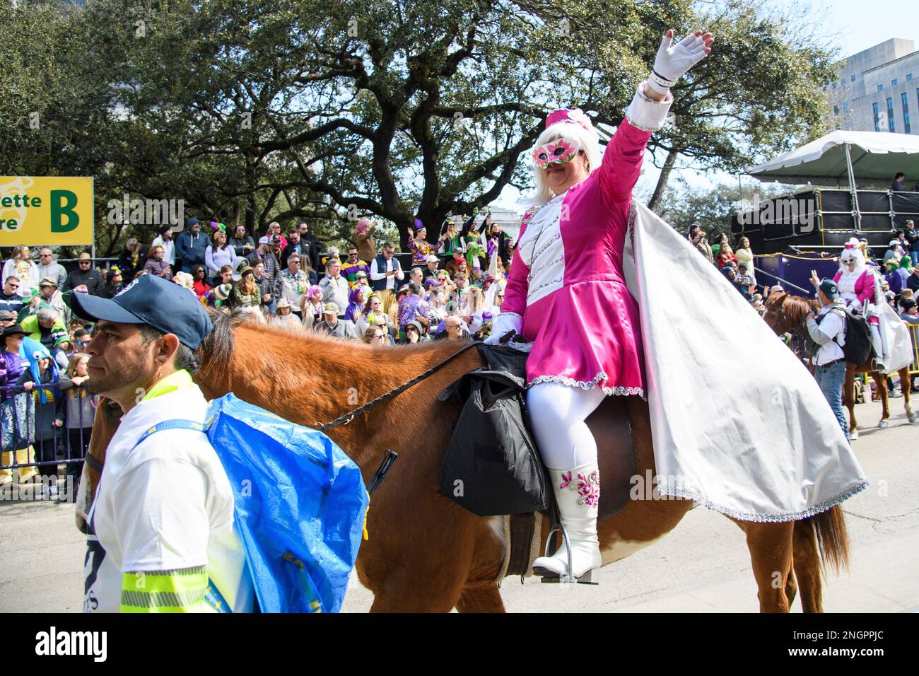 Parade goers are seen at the Krewe Of Iris parade on Saturday, Feb 18 ...