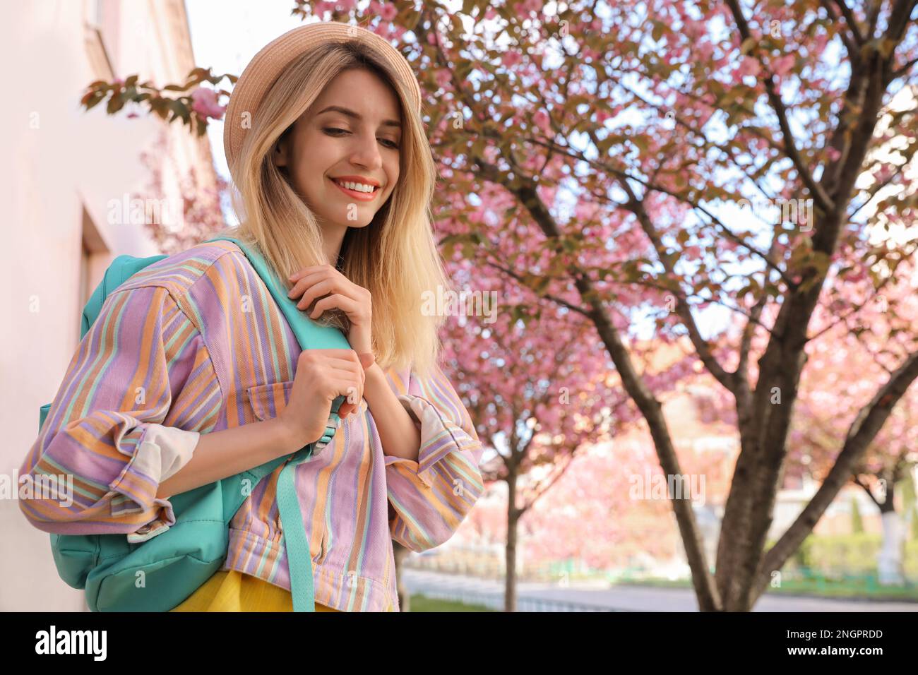 Backpack in the park hi-res stock photography and images - Alamy