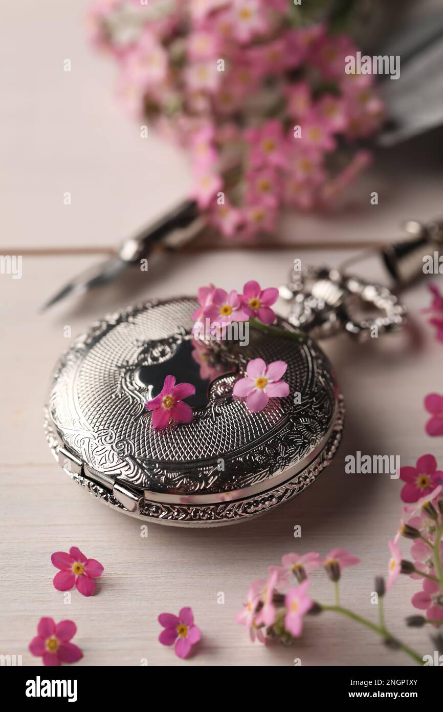 Beautiful Forget-me-not flowers, pocket watch and feather pen on white ...