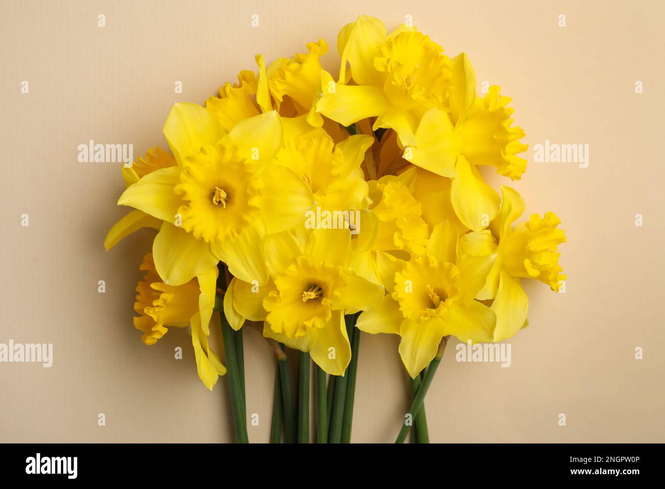 Beautiful daffodil bouquet on beige background, top view Stock Photo ...
