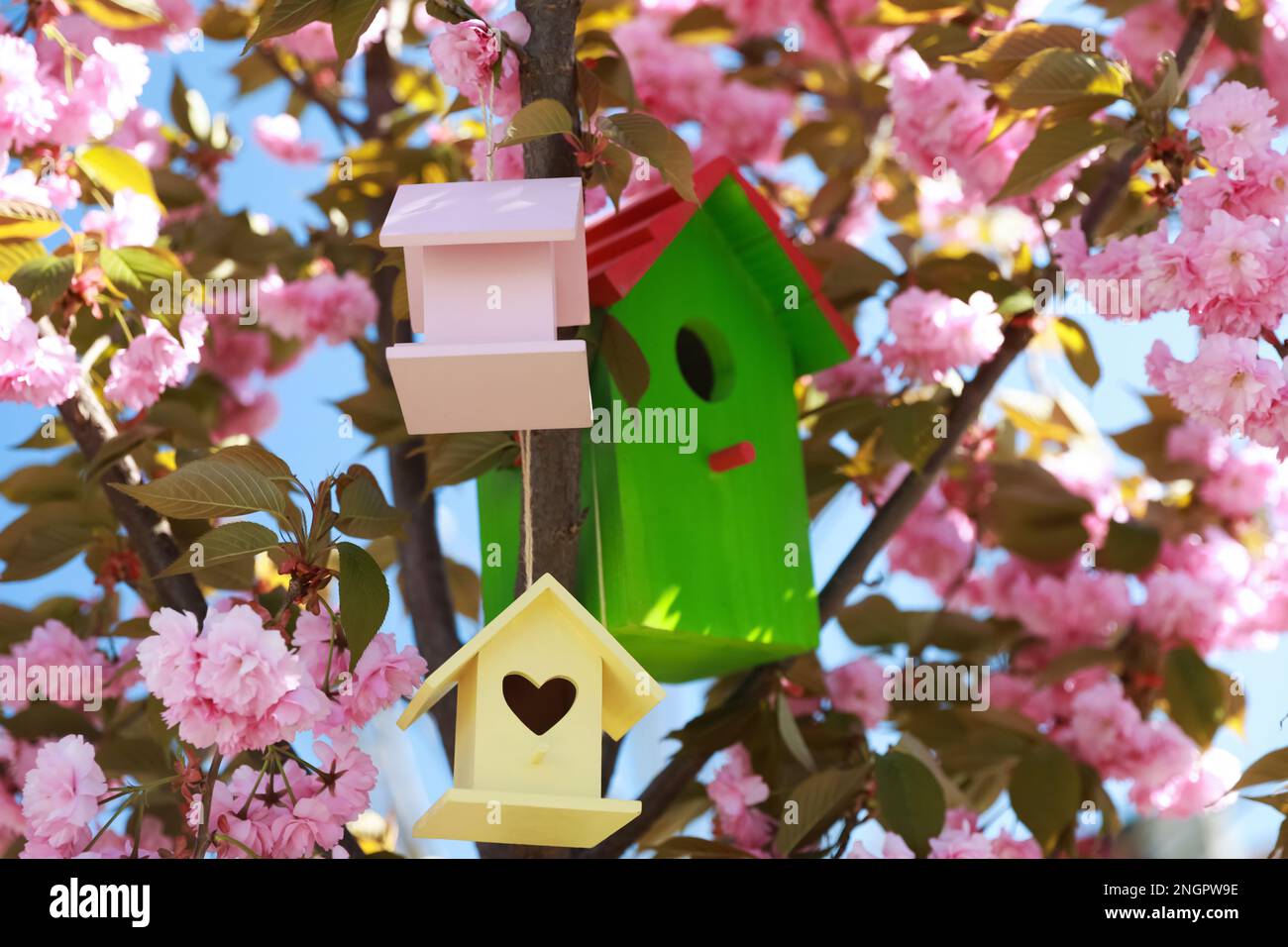 Different bird houses on tree branches outdoors Stock Photo - Alamy