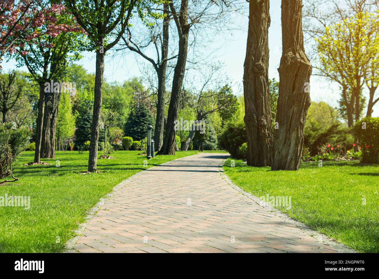 Picturesque view of beautiful park with fresh green grass and trees ...