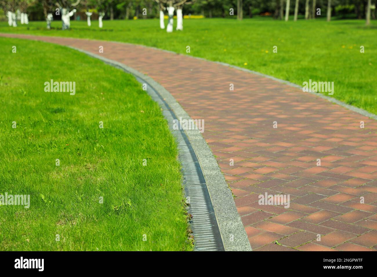 Picturesque view of beautiful park with fresh green grass and pavement ...