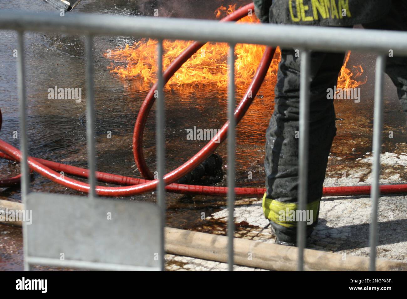 St louis mardi gras 2023 hi-res stock photography and images - Alamy