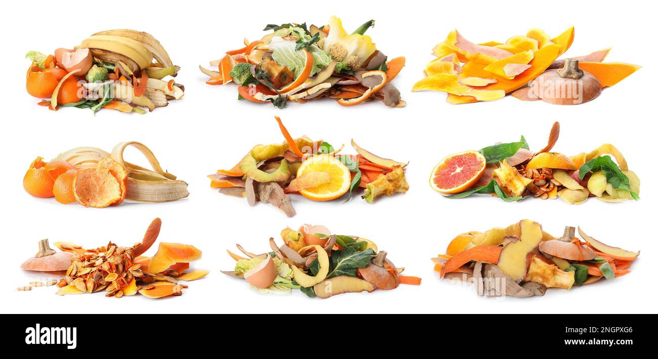 Set with organic waste for composting on white background. Banner ...