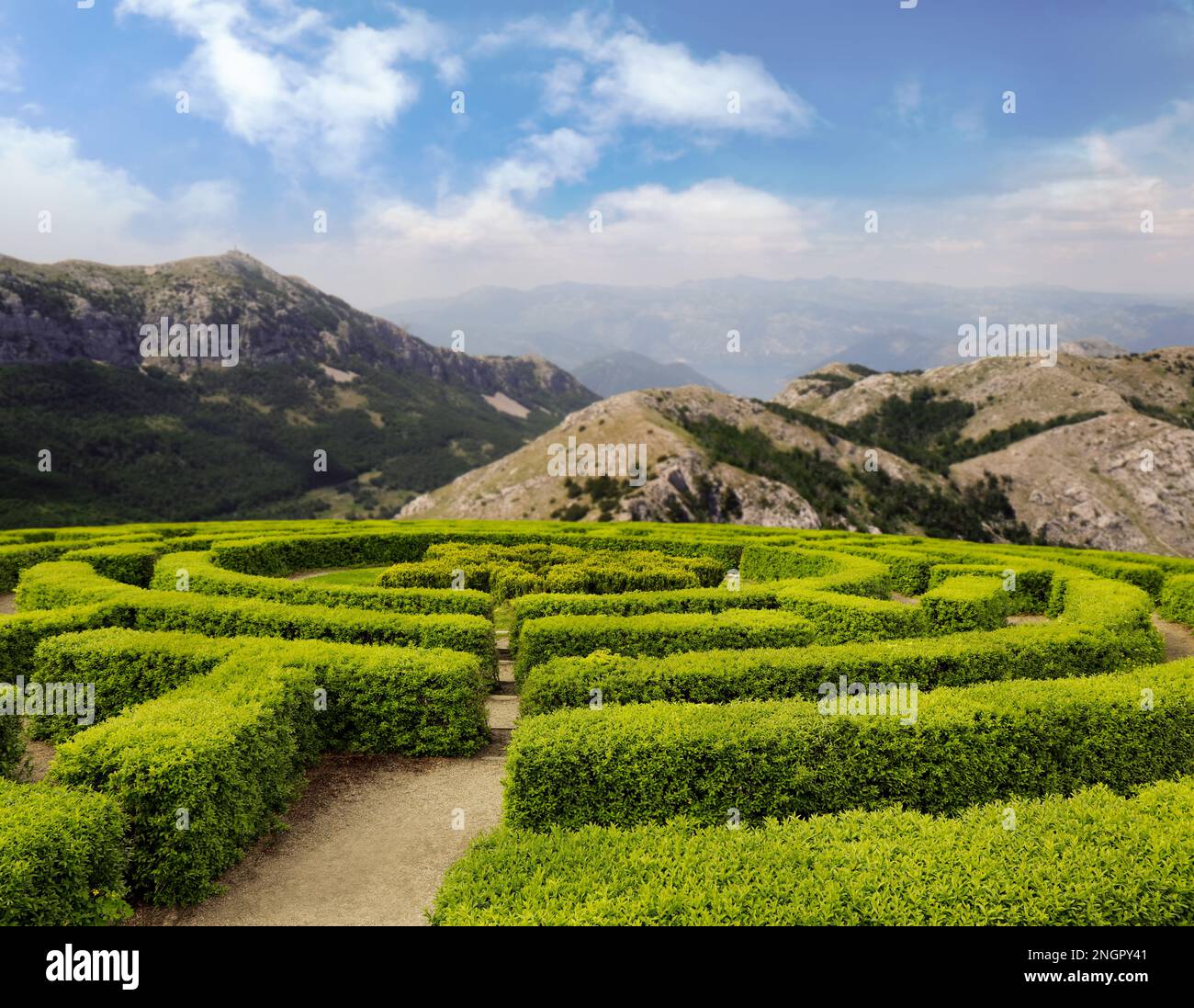 Privet hedge maze hi-res stock photography and images - Alamy