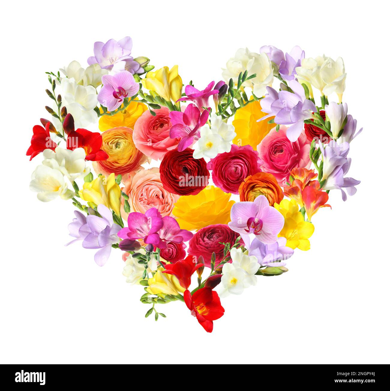 Beautiful heart shaped composition made with tender flowers on white ...