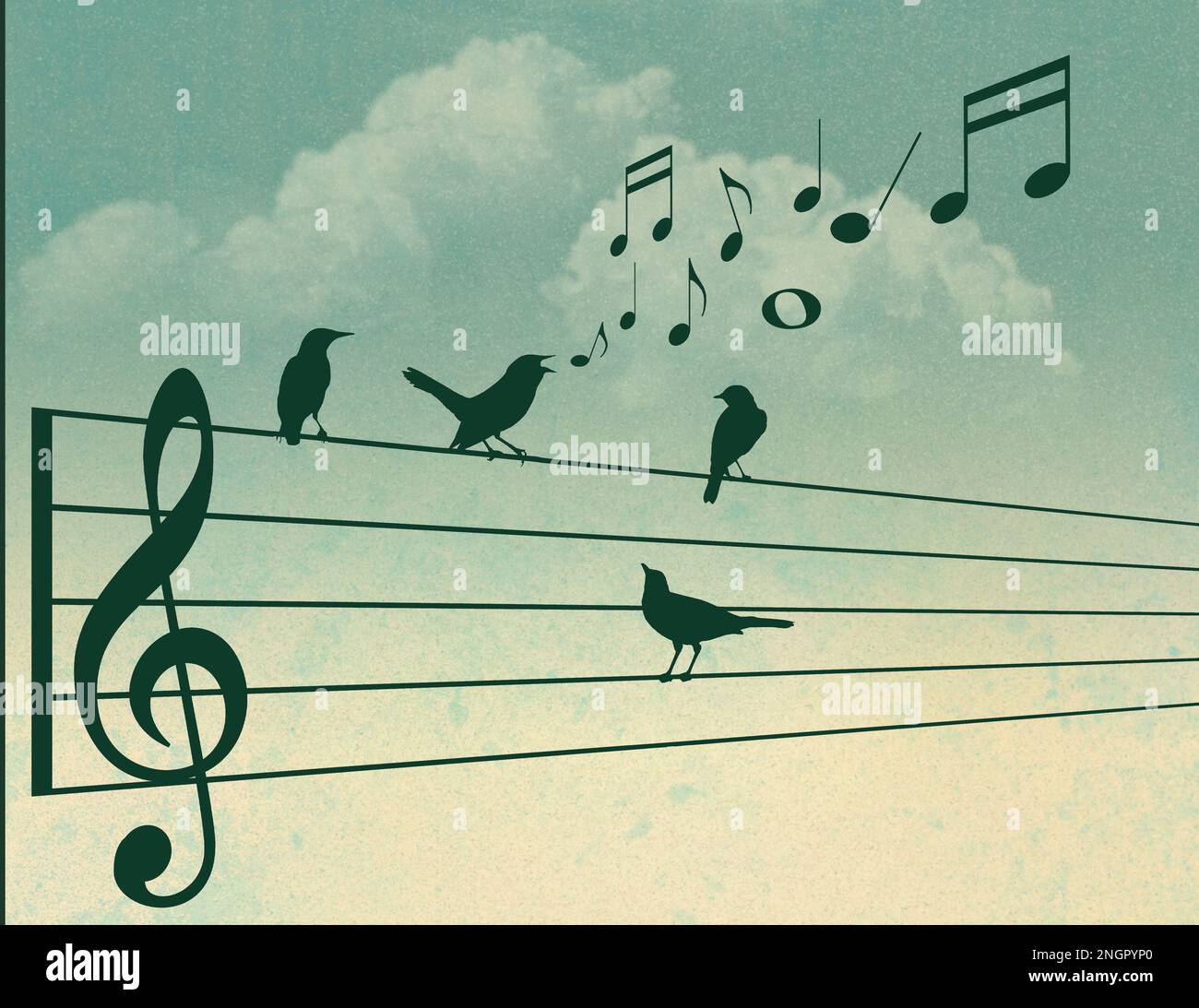 Birds gather around a talented song bird who sings as they all sit on a ...