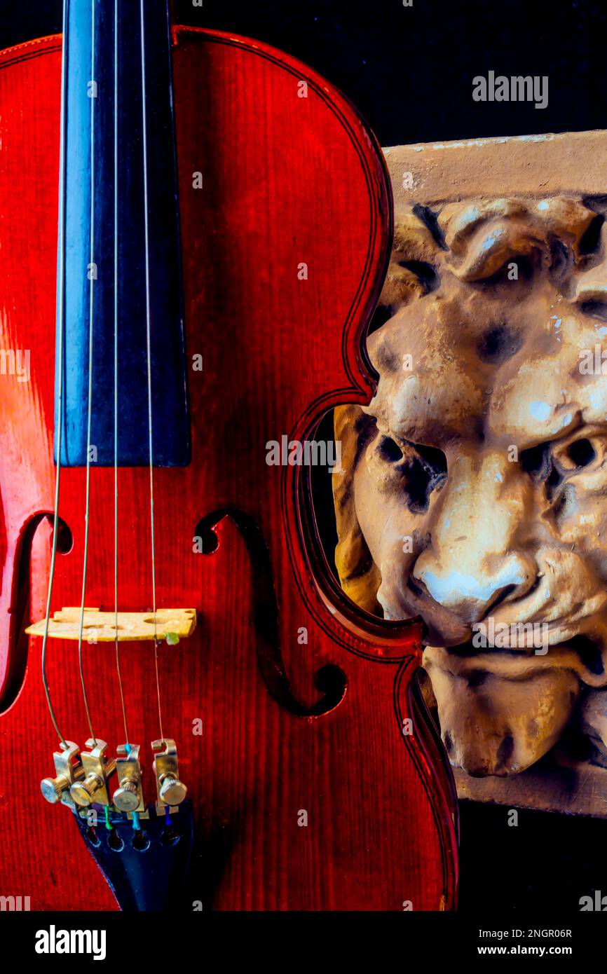 Lion violin hi-res stock photography and images - Alamy