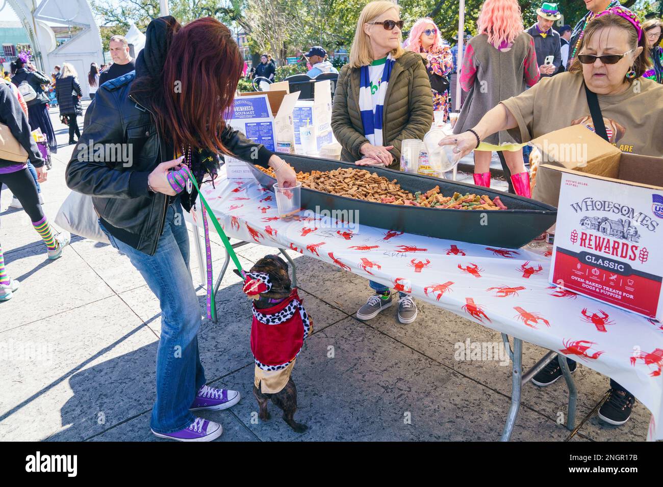 Dogs and their owners are seen at the Krewe Of Barkus parade on Sunday ...