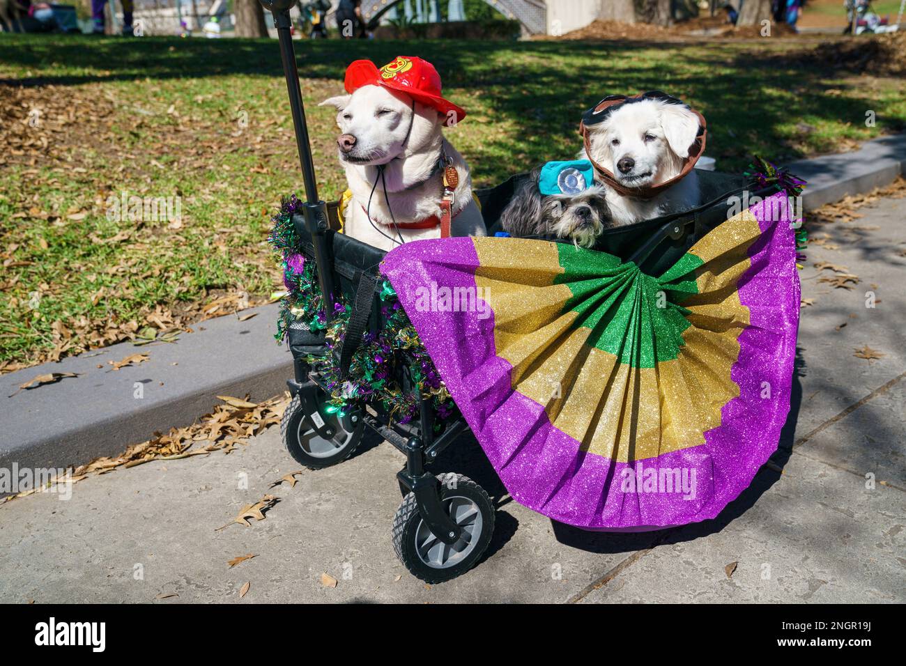Dogs and their owners are seen at the Krewe Of Barkus parade on Sunday ...