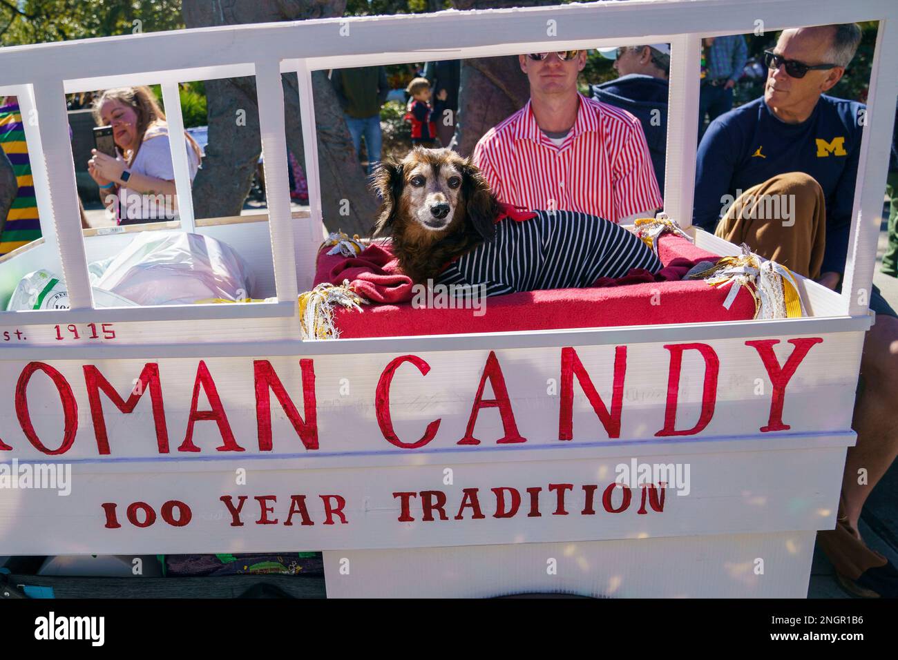 Dogs and their owners are seen at the Krewe Of Barkus parade on Sunday ...