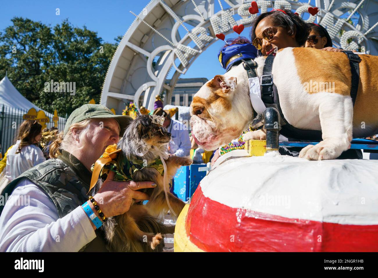 Dogs and their owners are seen at the Krewe Of Barkus parade on Sunday ...