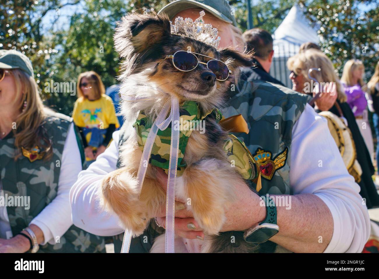 Dogs and their owners are seen at the Krewe Of Barkus parade on Sunday ...