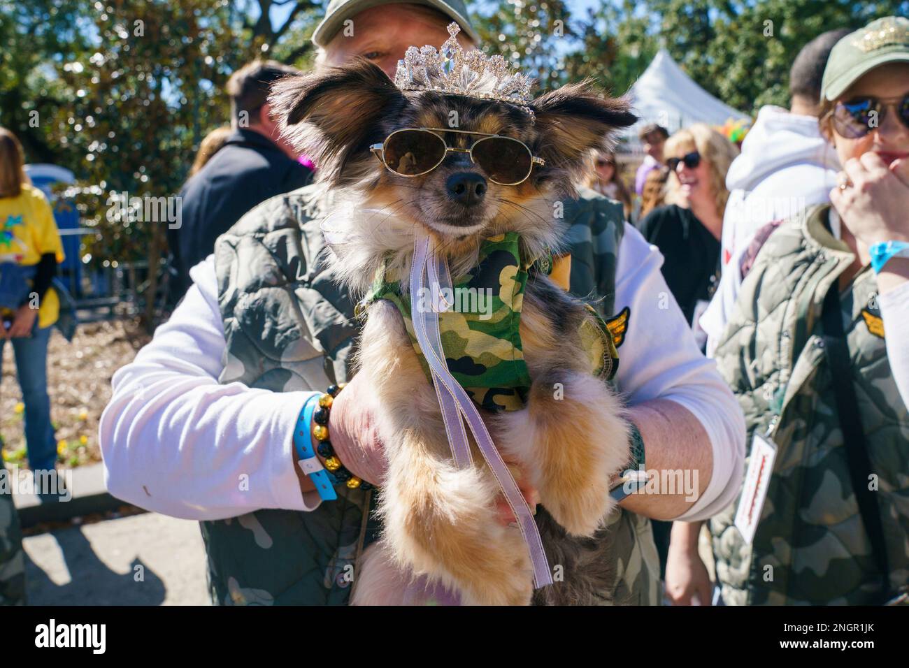 Dogs and their owners are seen at the Krewe Of Barkus parade on Sunday ...