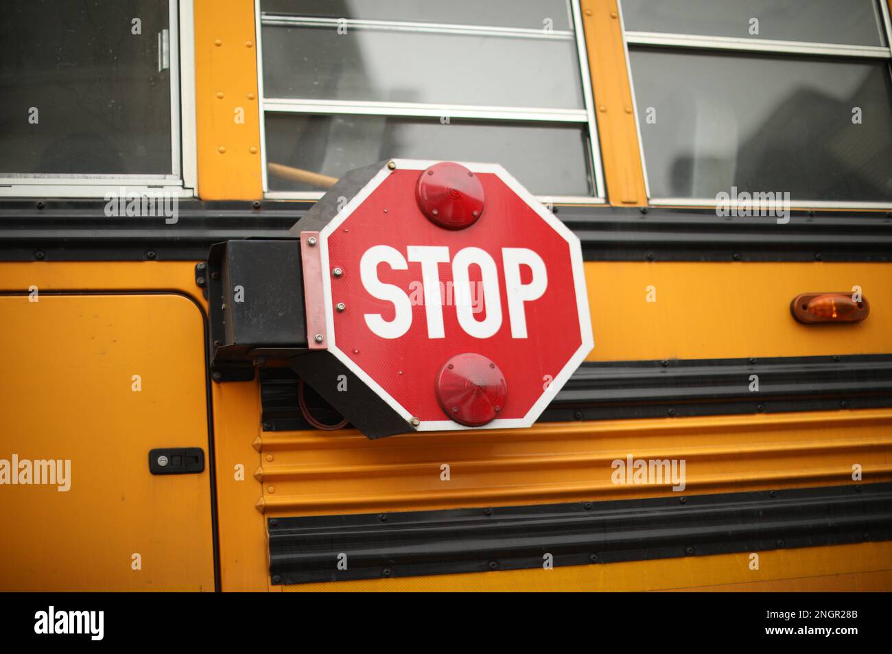 yellow school bus in public with stop sign showing Stock Photo - Alamy