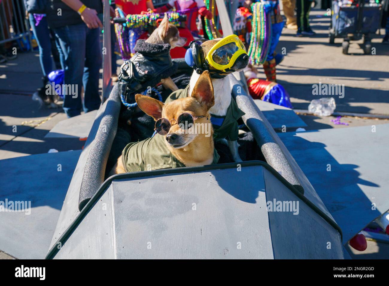 Dogs and their owners are seen at the Krewe Of Barkus parade on Sunday ...