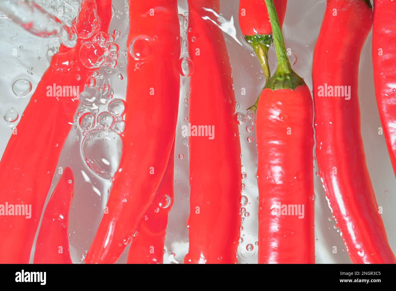 Close-up of hot red chilli peppers on white background. Hot red chilli ...
