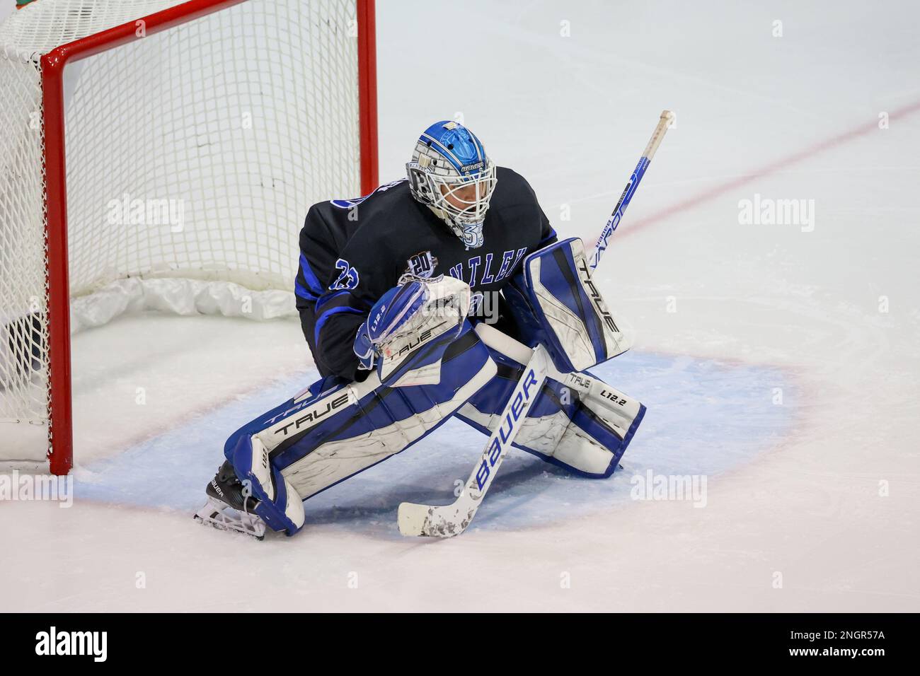 February 18, 2023: Bentley Falcons goaltender Connor Hasley (33 ...
