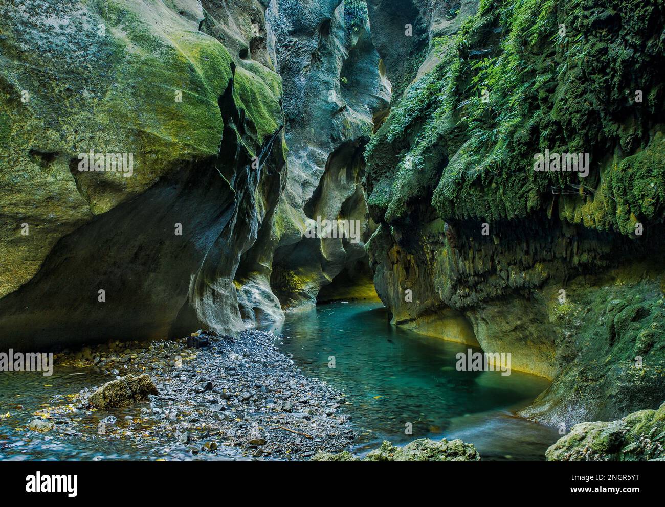 The turquoise water of the river flowing the lichen and moss covered ...