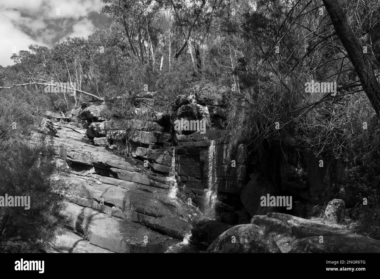 Amazing summer view green Black and White Stock Photos & Images - Alamy