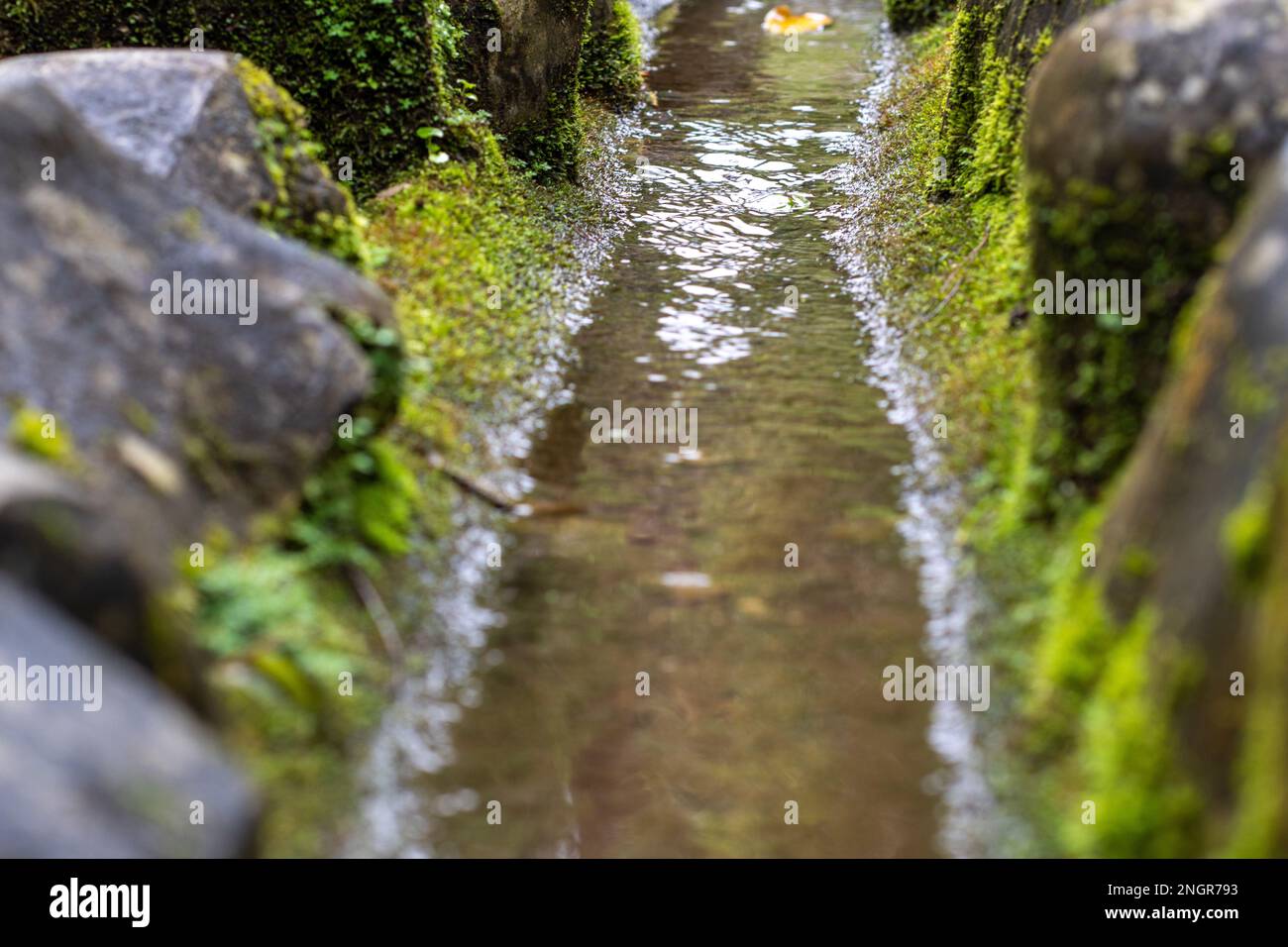 Mossy rock in middle ocean hi-res stock photography and images - Alamy