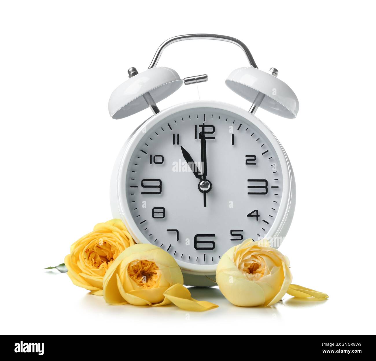 Alarm clock with beautiful rose flowers on white background Stock Photo ...