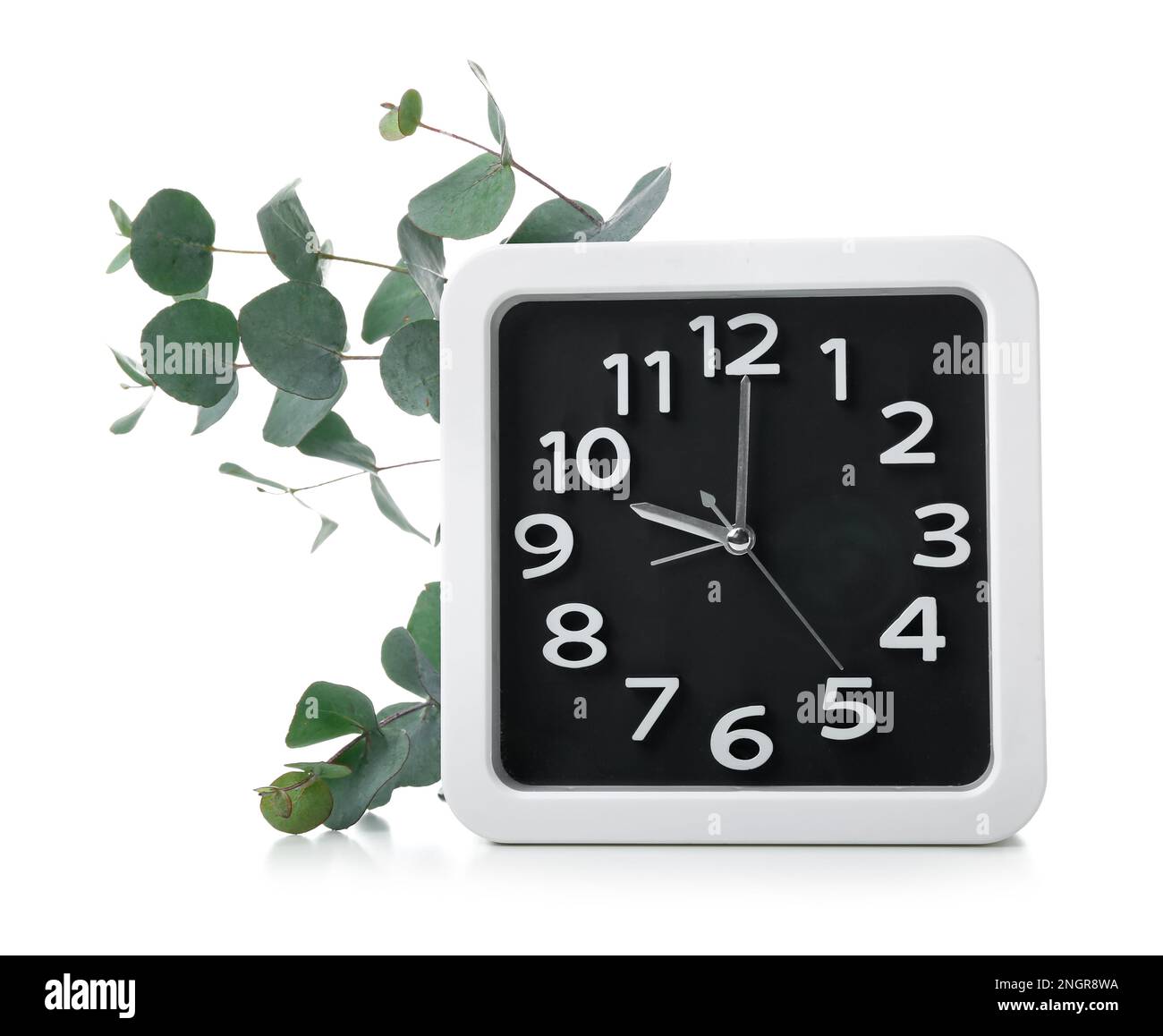 Alarm clock with eucalyptus branches on white background Stock Photo ...