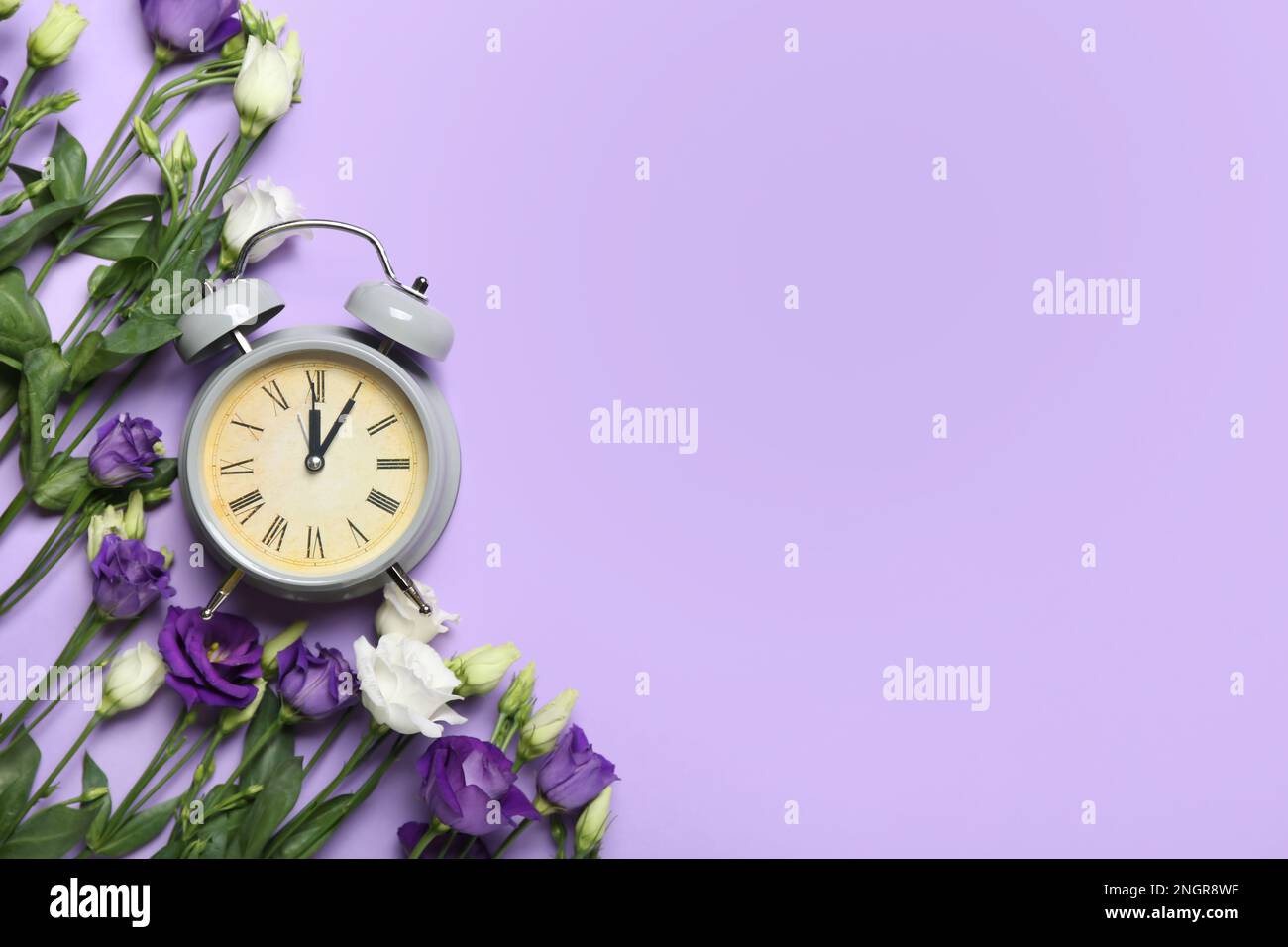 Composition with beautiful eustoma flowers and alarm clock on lilac ...