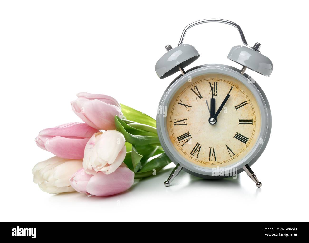 Alarm clock and beautiful tulip flowers on white background Stock Photo ...