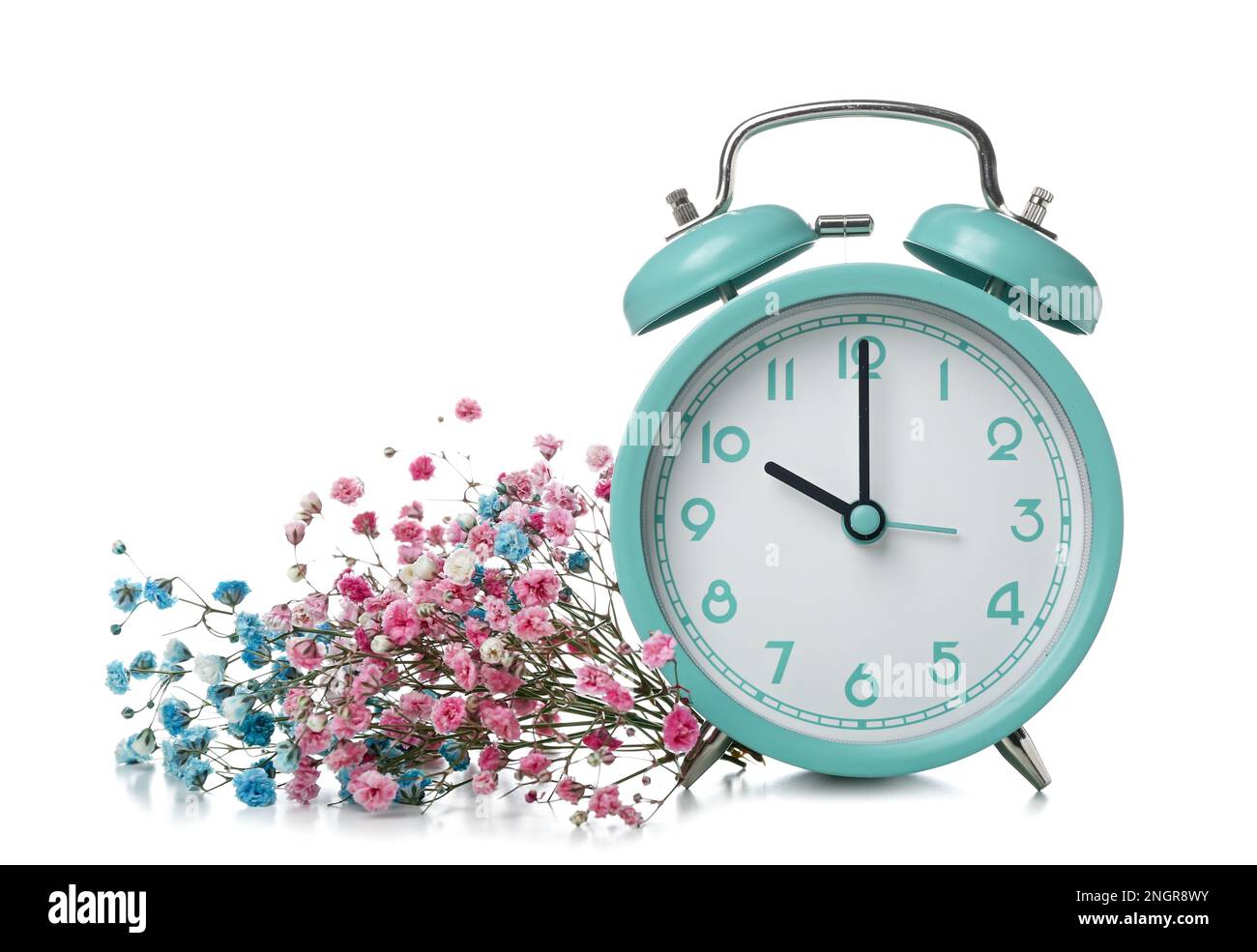 Alarm clock with beautiful gypsophila flowers on white background Stock ...