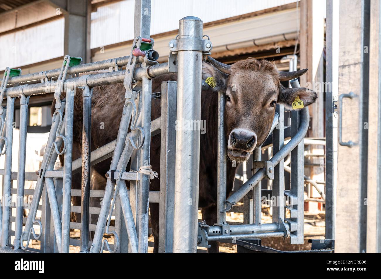 Winch southwest hi-res stock photography and images - Alamy