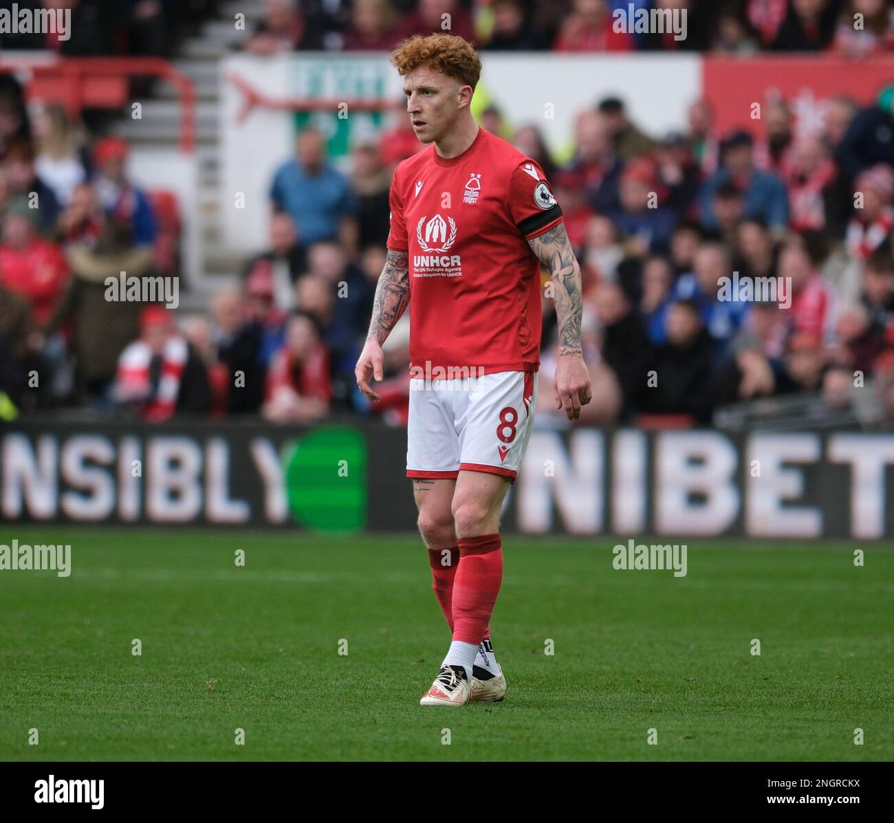 Manchester city and jack colback hi-res stock photography and images ...
