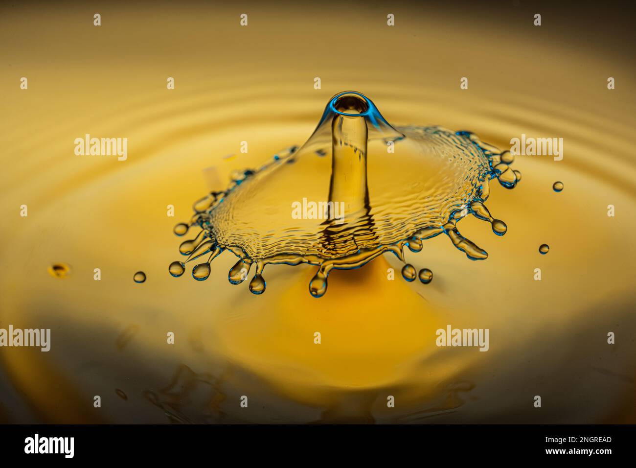 Macro photography water drops photographed with Pluto trigger Stock ...