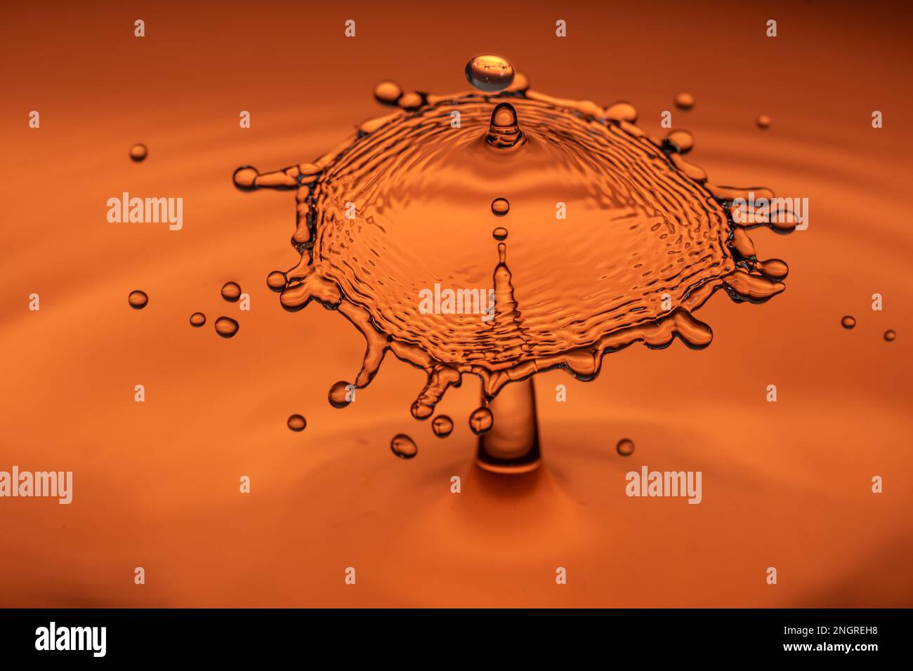 Macro photography water drops photographed with Pluto trigger Stock Photo - Alamy