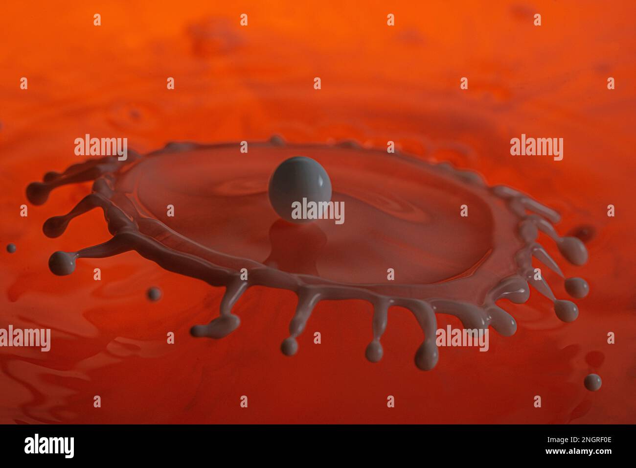 Macro photography water drops photographed with Pluto trigger Stock ...