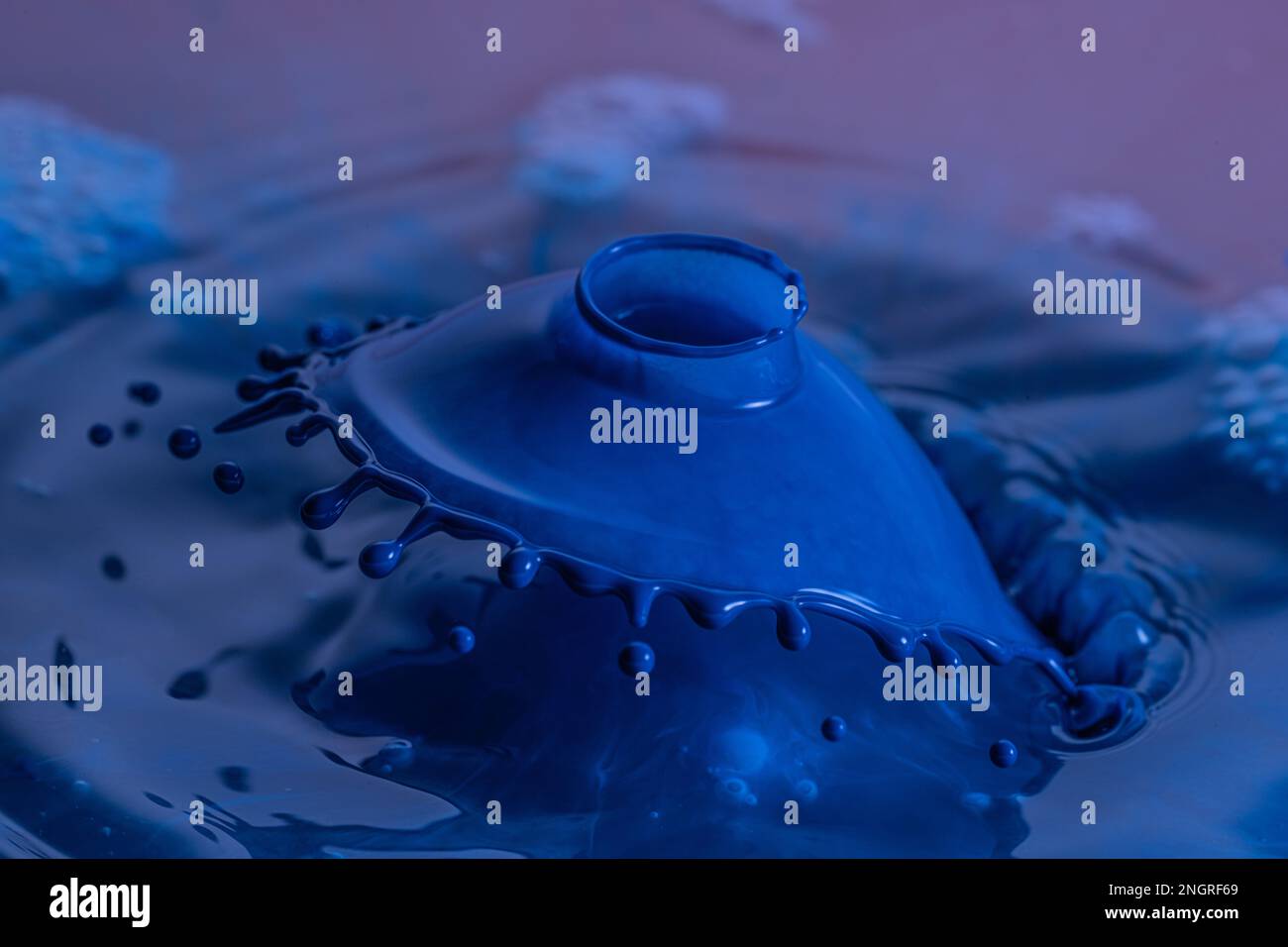 Macro photography water drops photographed with Pluto trigger Stock ...