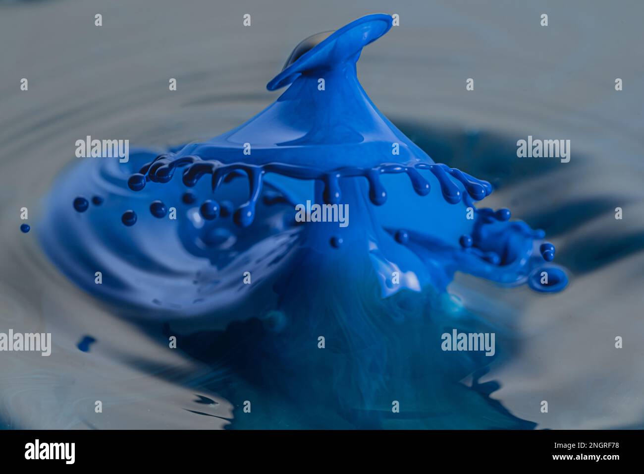 Macro photography water drops photographed with Pluto trigger Stock ...