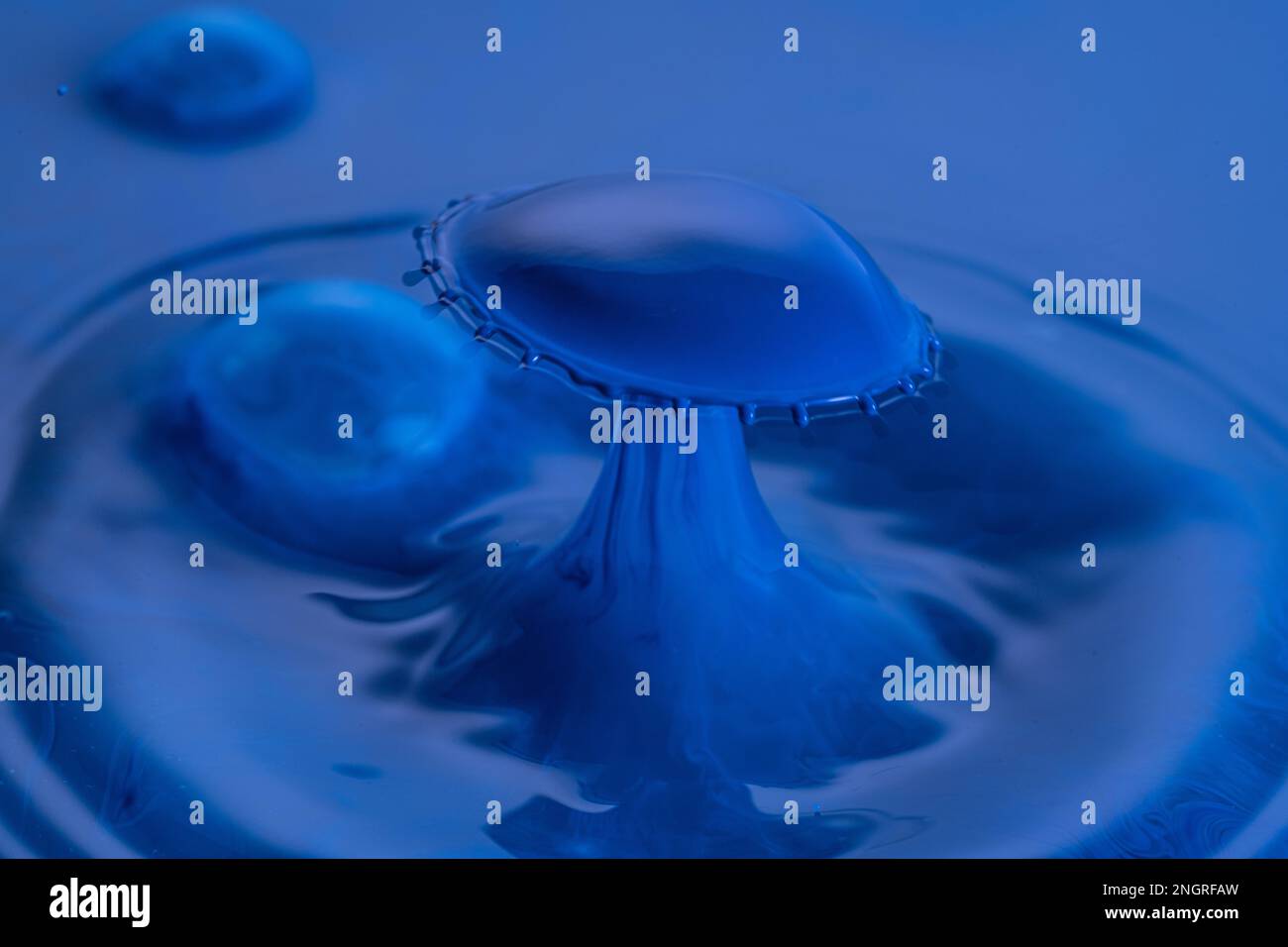 Macro photography water drops photographed with Pluto trigger Stock ...