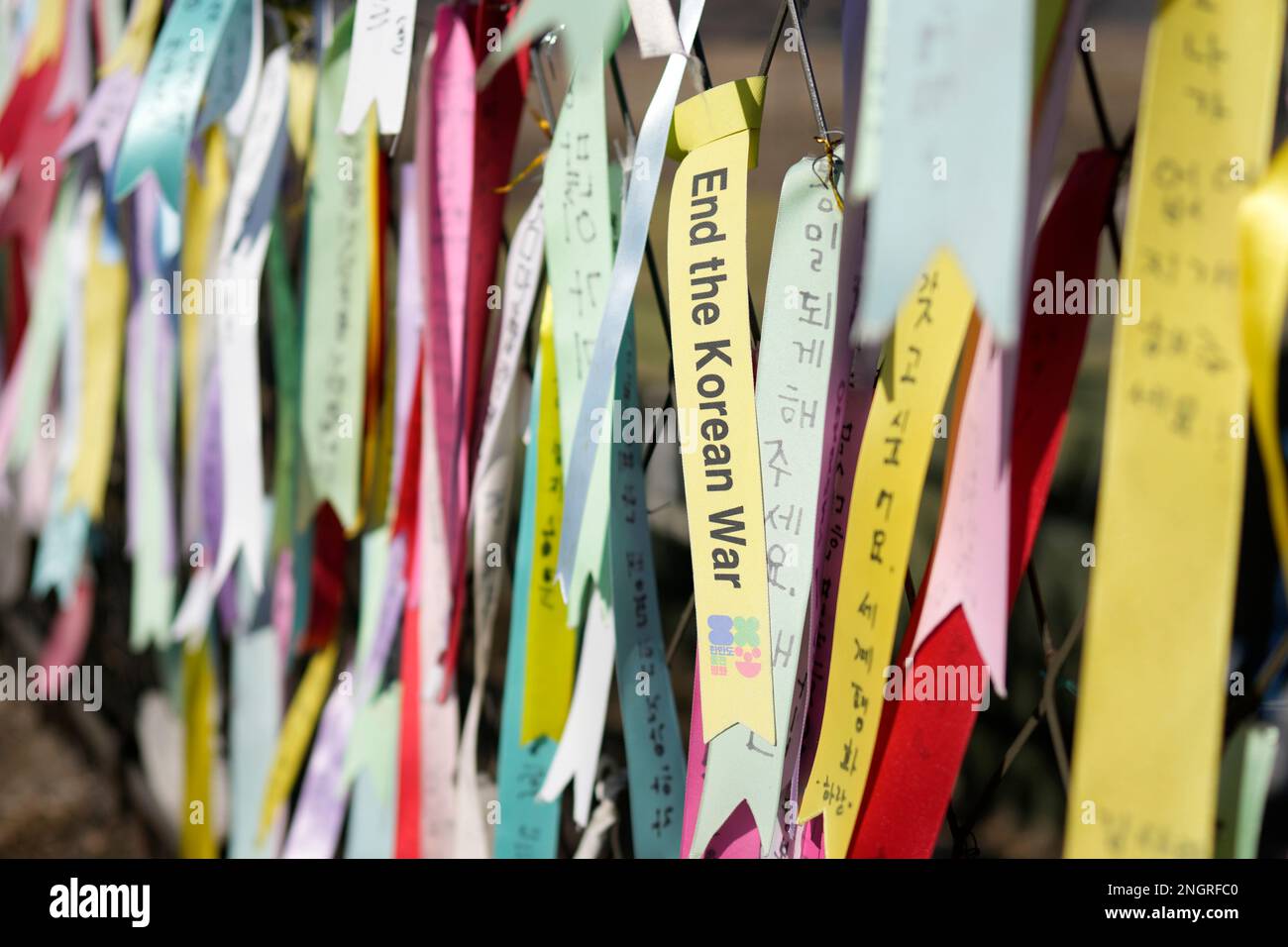 The ribbons with messages wishing for peace between the two Koreas are ...