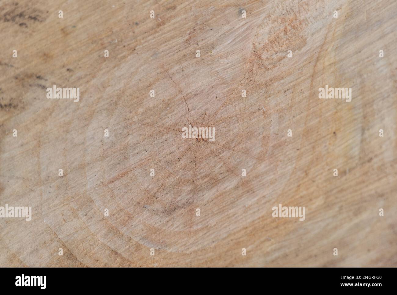 A Close-up View of Rustic Tree Log Texture Stock Photo - Alamy