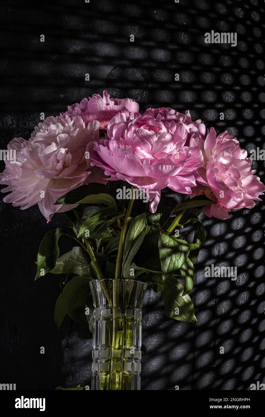 Photo retro beautiful peonies hi-res stock photography and images - Alamy