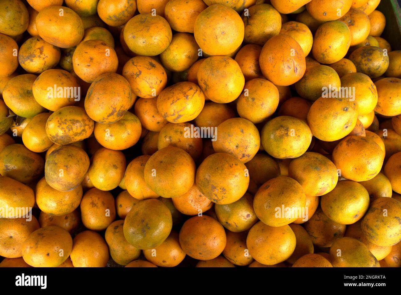 A Pile Of Yellowish Ripe Orange Fruits, Taken From Above Stock Photo ...