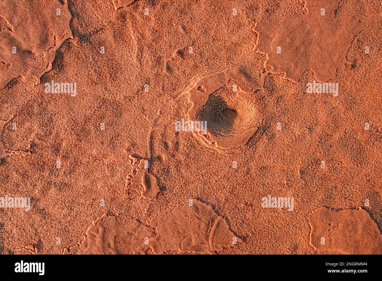 Mars Texture