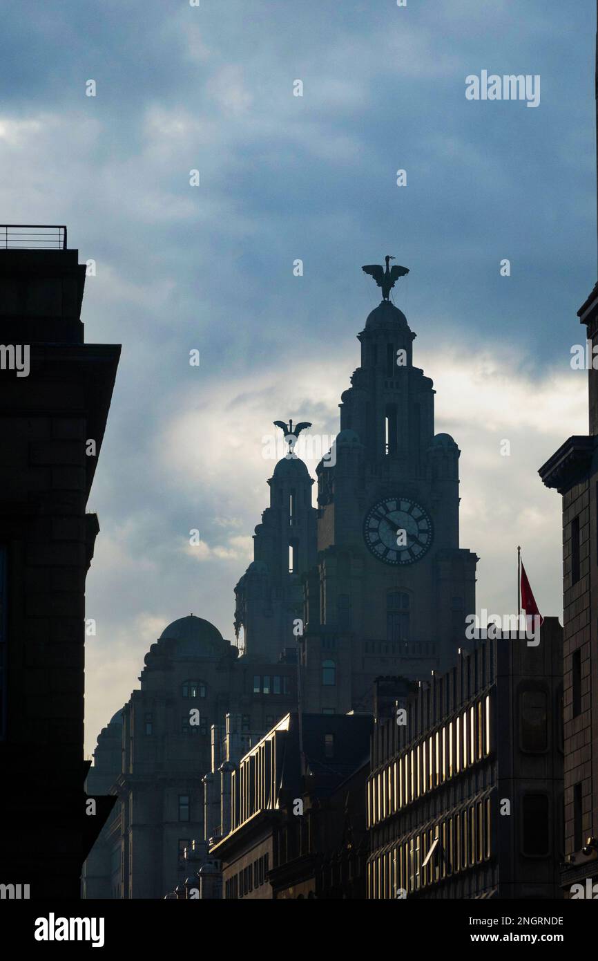 The twin clocktowers on the Royal Liver Building in Liverpool Stock ...