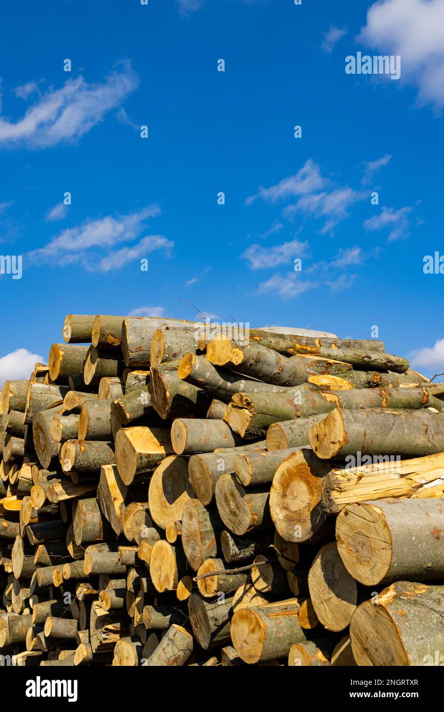 wooden logs on the open air Stock Photo - Alamy