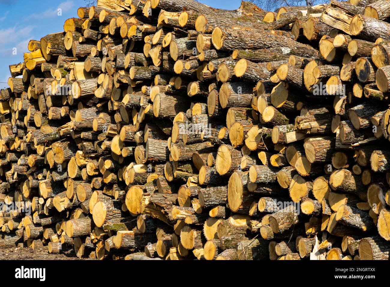 wooden logs on the open air Stock Photo - Alamy