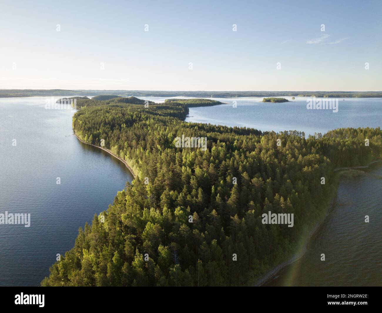 Ridge island forest at lake Saimaa Stock Photo - Alamy