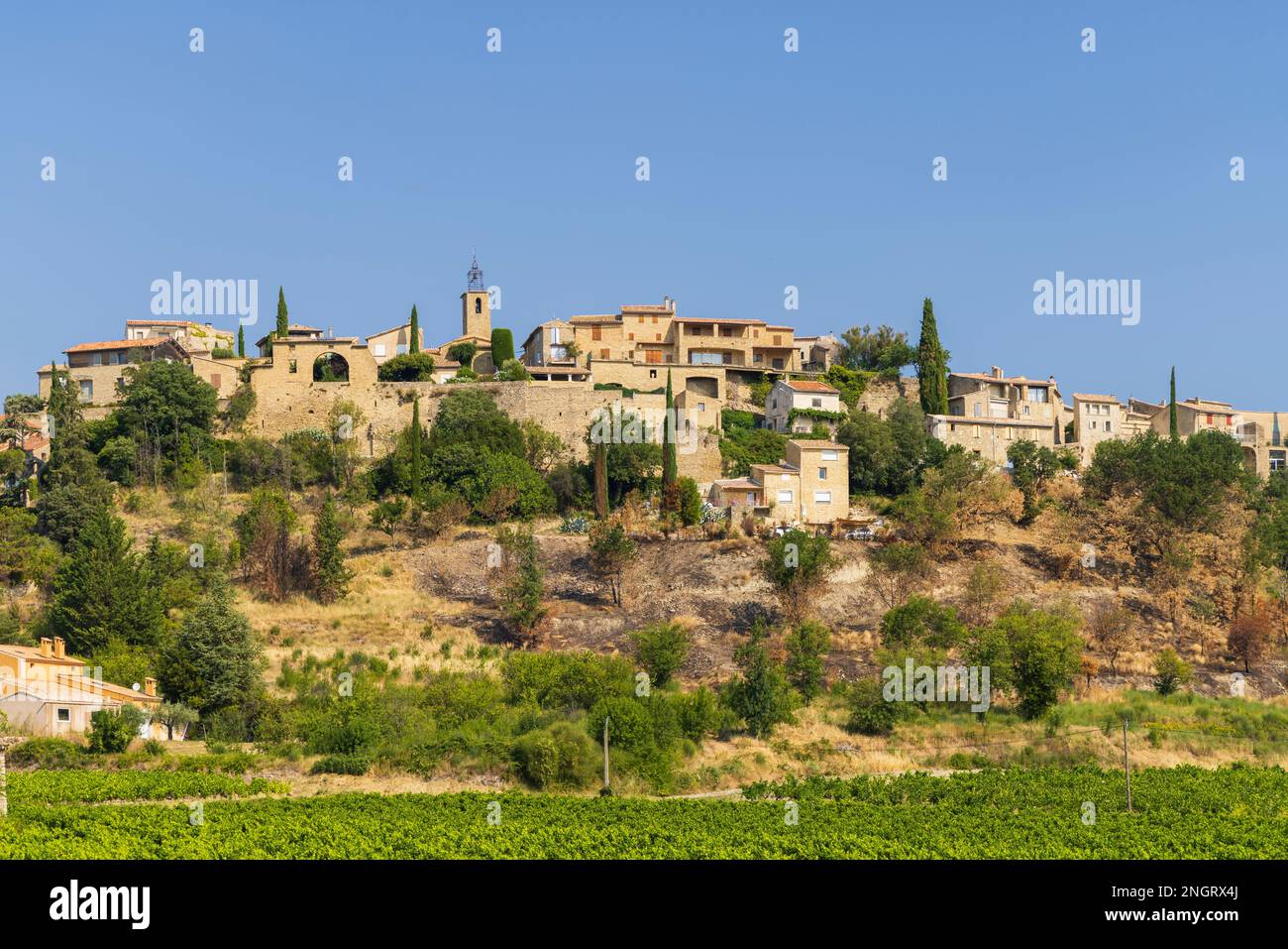 House of faulcon hi-res stock photography and images - Alamy